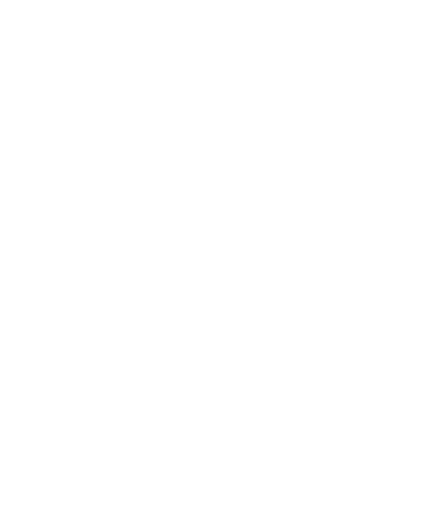 Sebka Technology – IT Solutions & Services