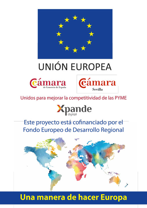 PAST VIEW – Sebka Technology