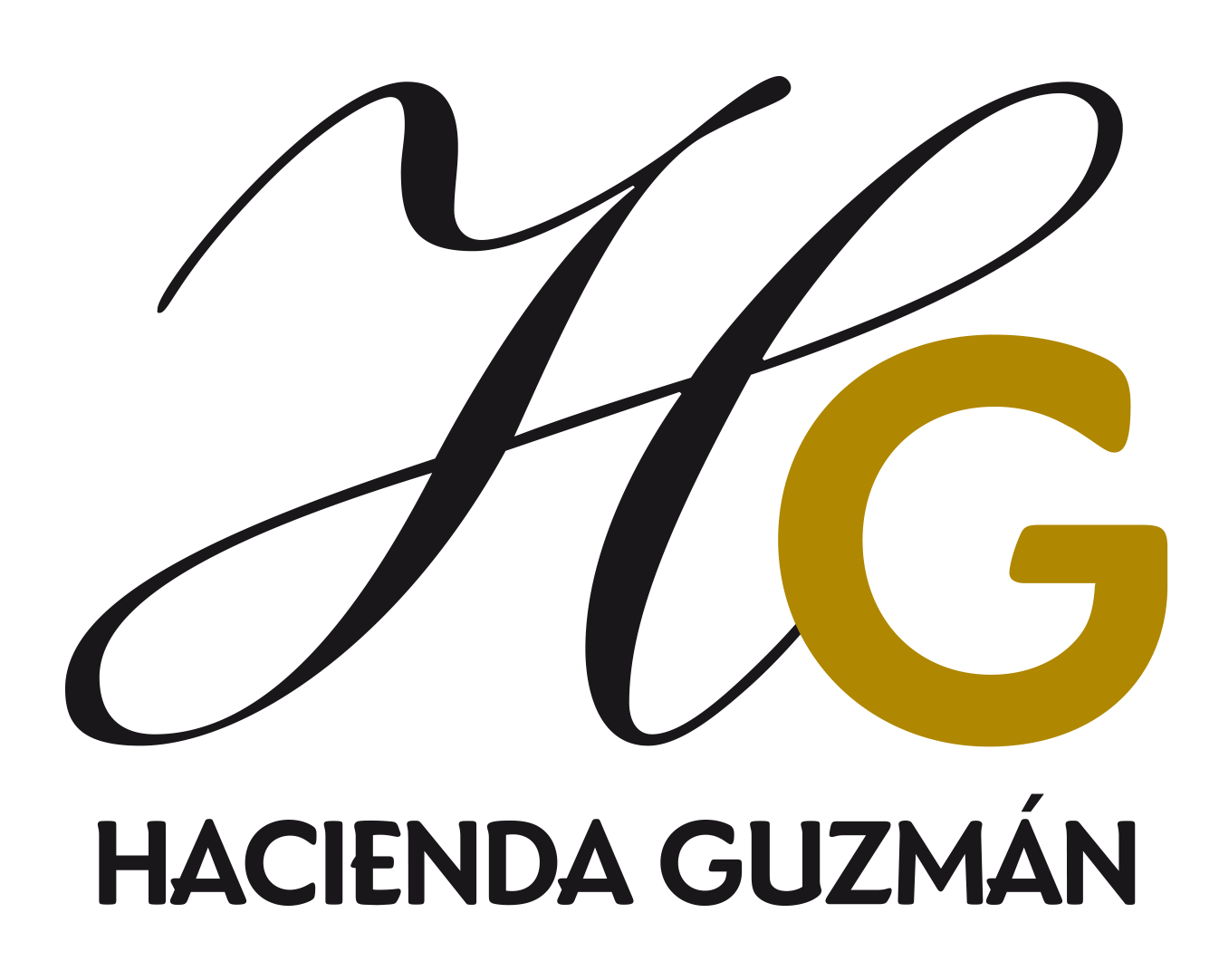 Sebka Technology – IT Solutions & Services